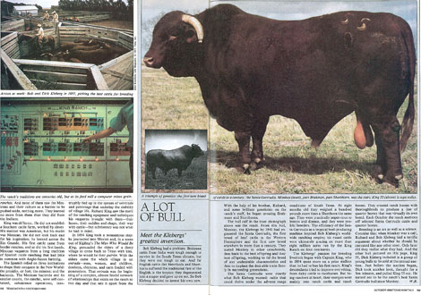 A Lot of Bull – Texas Monthly