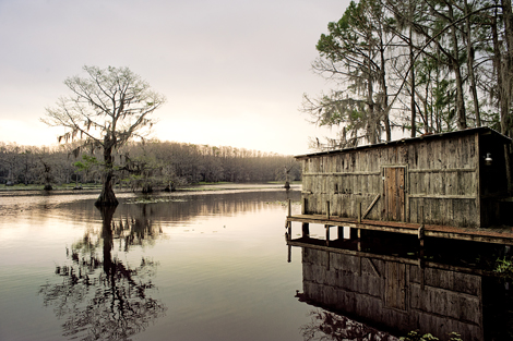 The Backwoods Drive – Texas Monthly