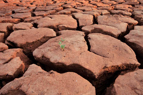 Dry, the Beloved Country – Texas Monthly