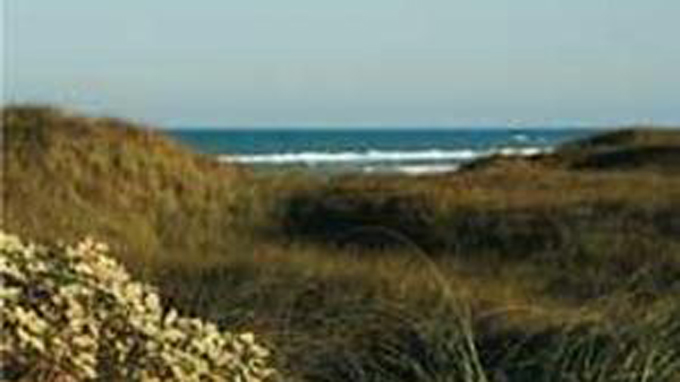 Shore ’Nuff – Texas Monthly