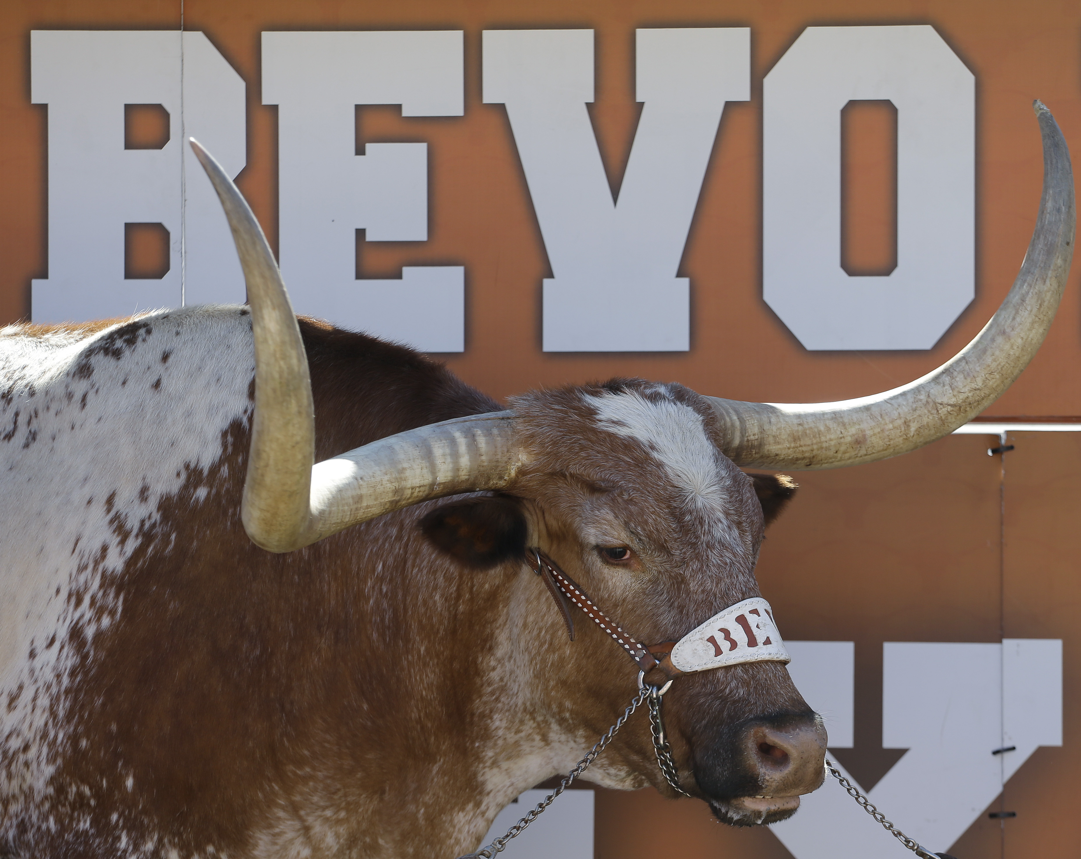 The State of Texas: May 24, 2016 – Texas Monthly