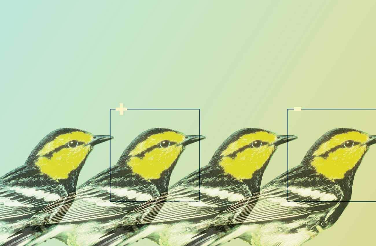 Susan Combs Joins Trump's Assault on the Endangered Species Act – Texas ...