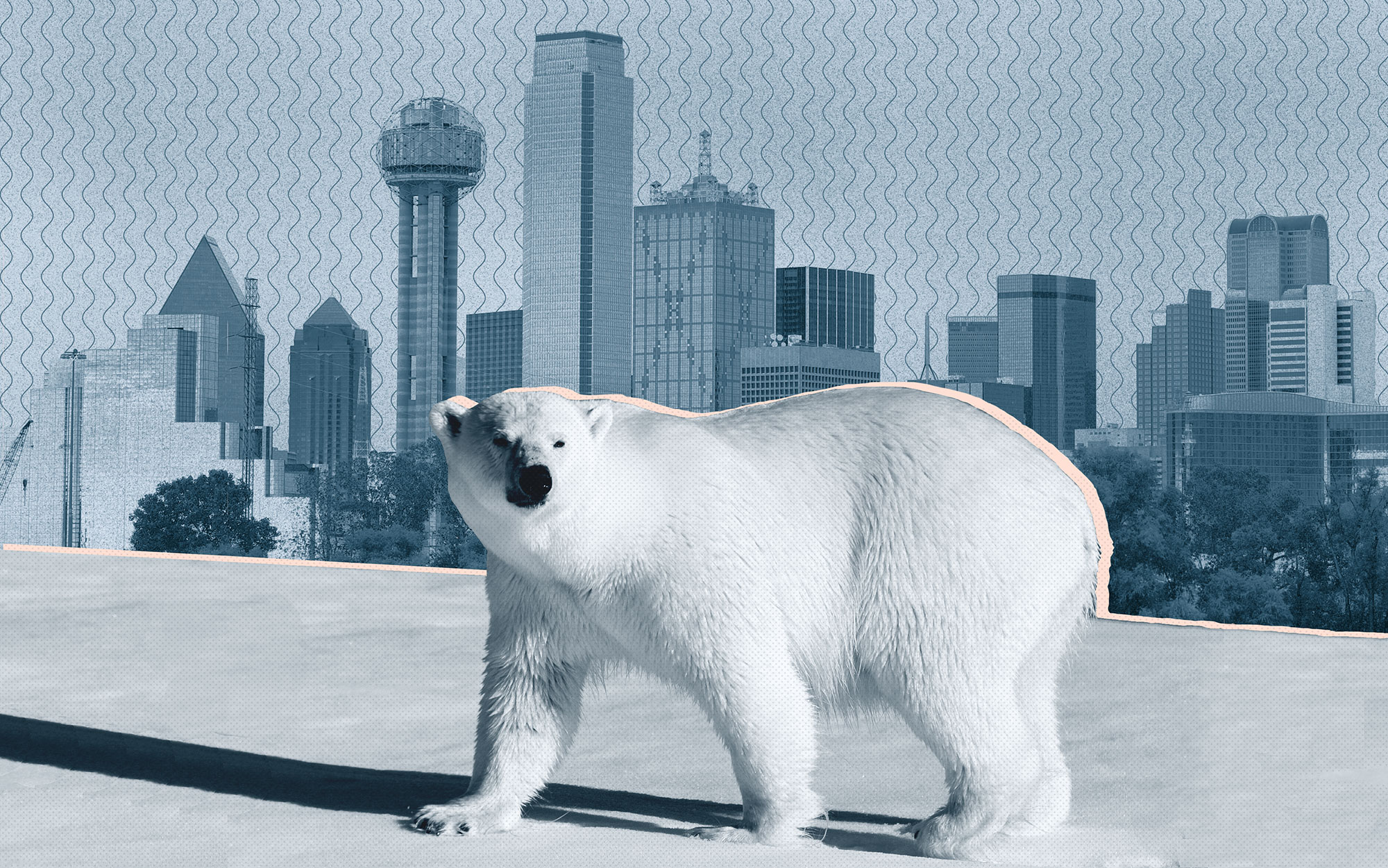 How to Deal With Below-Freezing Temperatures in Texas – Texas Monthly