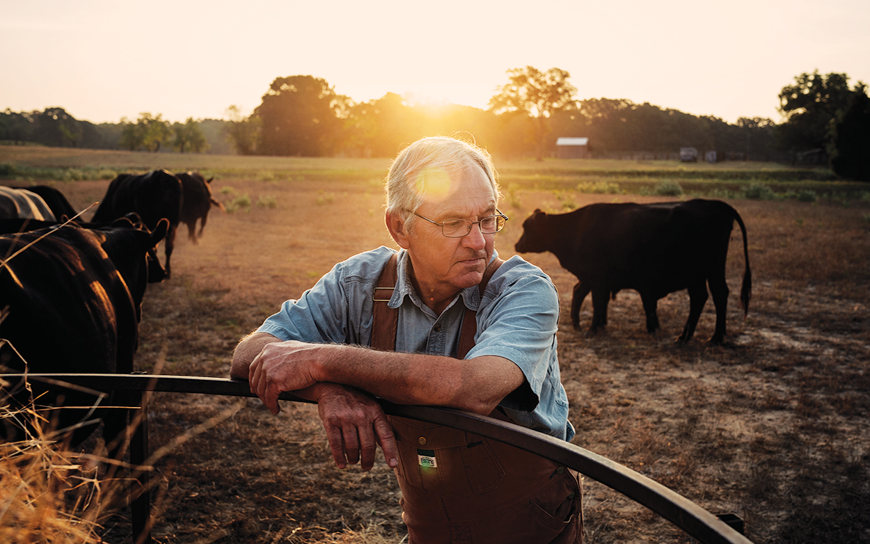 Behind the Lines: An Unsolved Cattle-Murder Mystery in East Texas ...