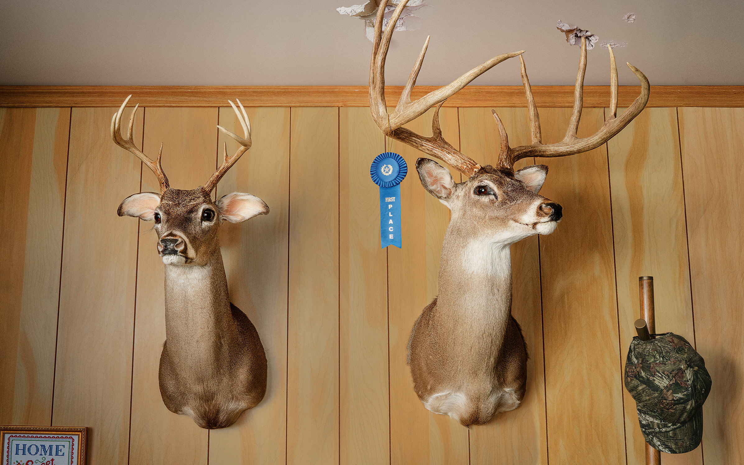 Has Hunting Become a Rich Man's Game? – Texas Monthly