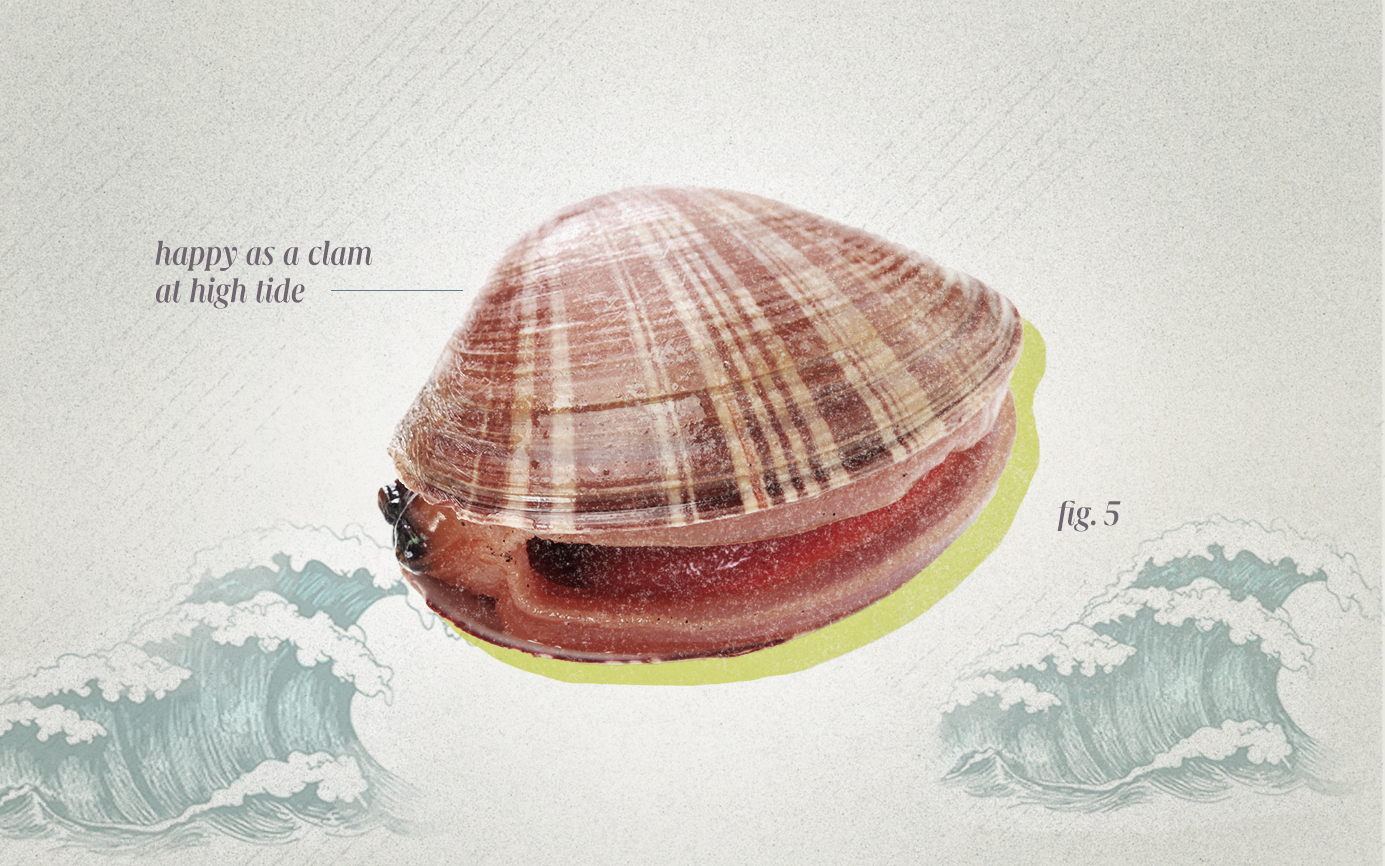 Talk Like a Texan: Let's Chaw the Rag – Texas Monthly