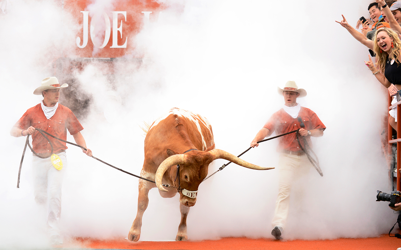 A Brief History of Bevo Behaving Badly – Texas Monthly