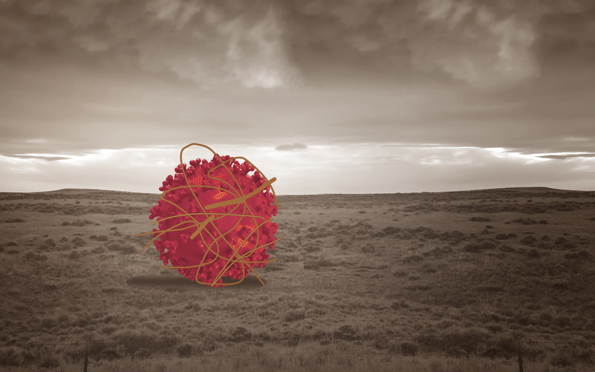 I Live in the Middle of Nowhere. I Still Got COVID. – Texas Monthly