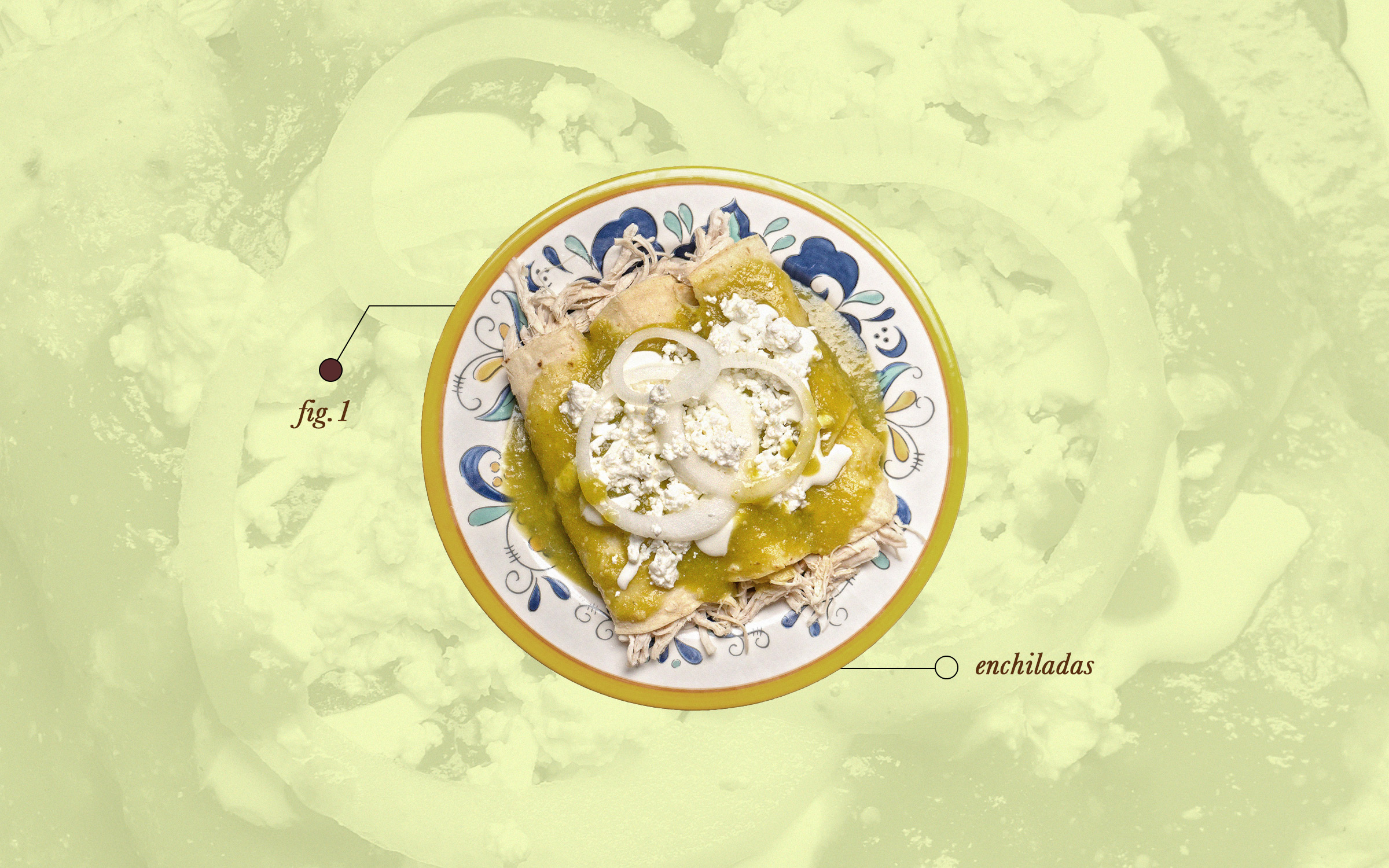 Enchiladas Are So Much More Than You Think – Texas Monthly