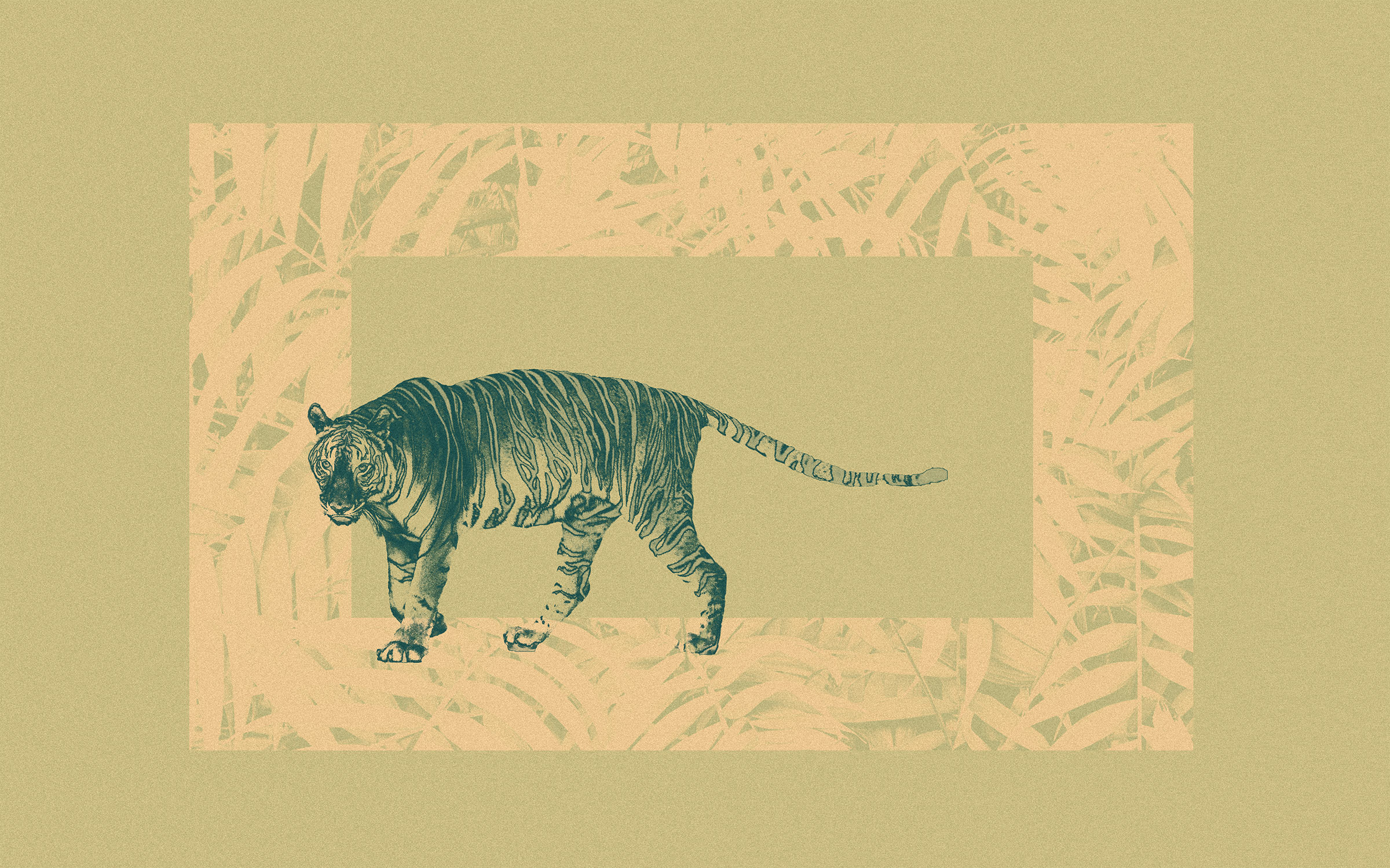 A Brief History of Tigers on the Loose in Texas, 2021 Edition – Texas ...