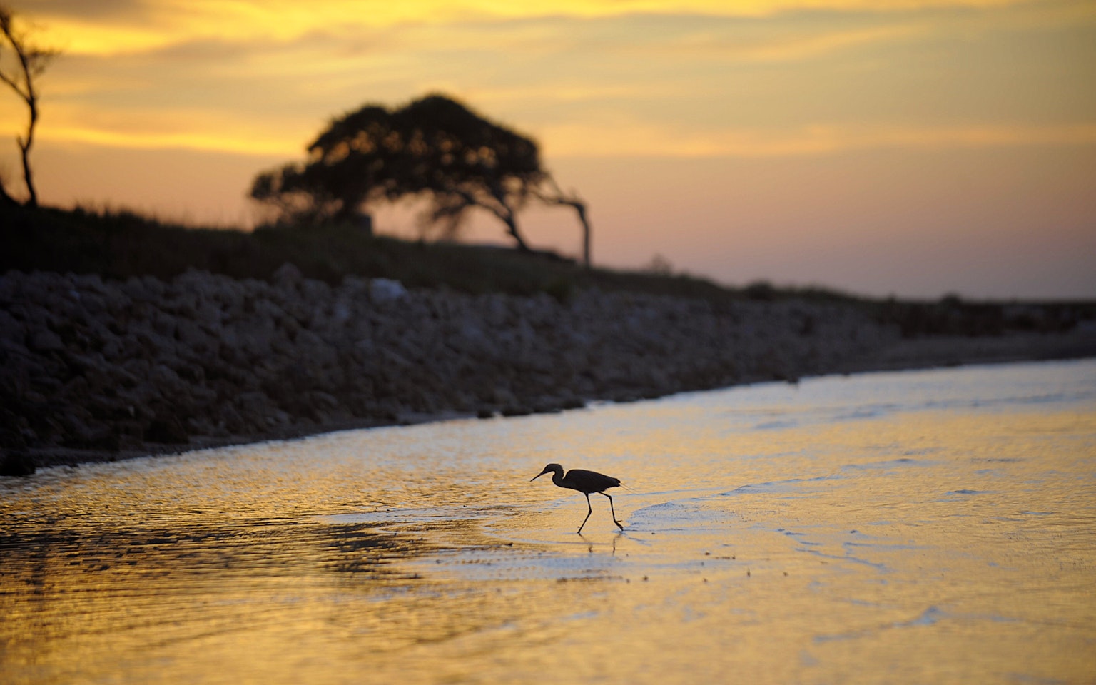 Set to Become a State Park, Powderhorn Ranch Is an Unspoiled Coastal ...