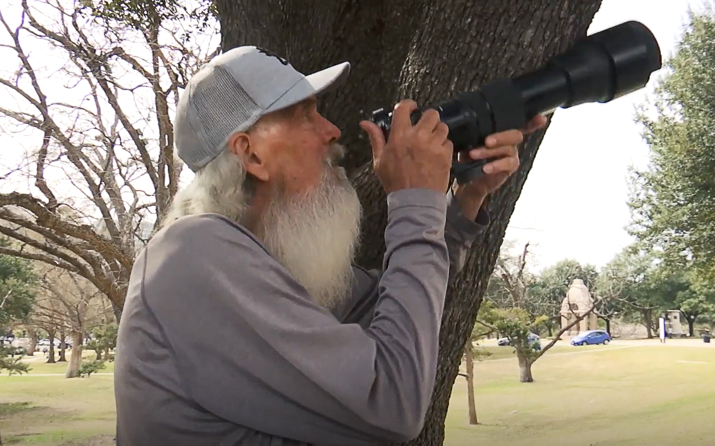 He’s an Urban Birder, Photographing Birds of Prey in Downtown Austin ...