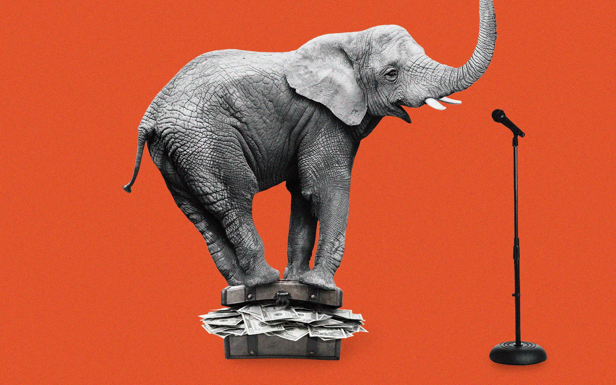 At a Right-wing Comedy Night, the Hosts Are Laughing All the Way to the ...