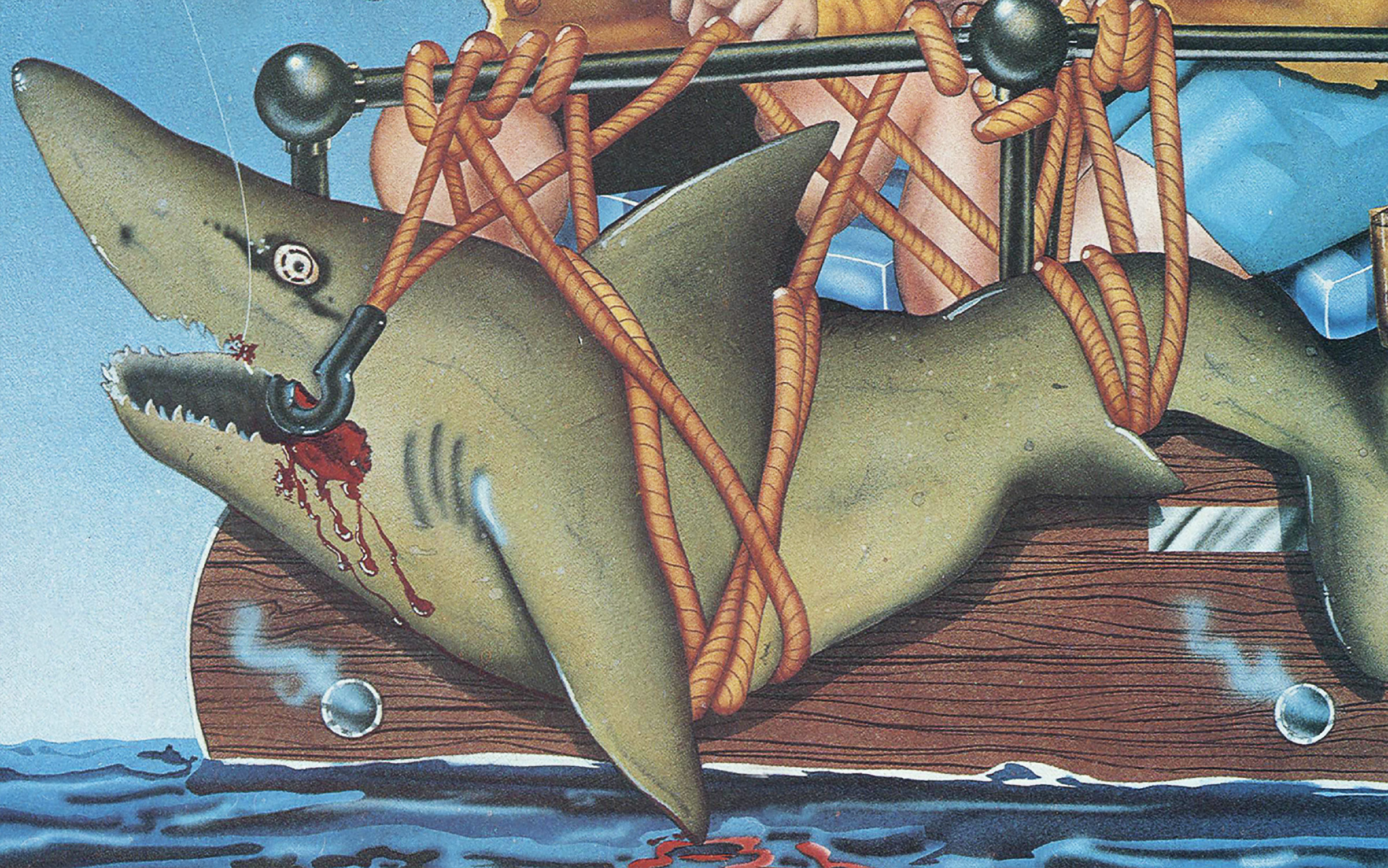 Pray for Sharks – Texas Monthly