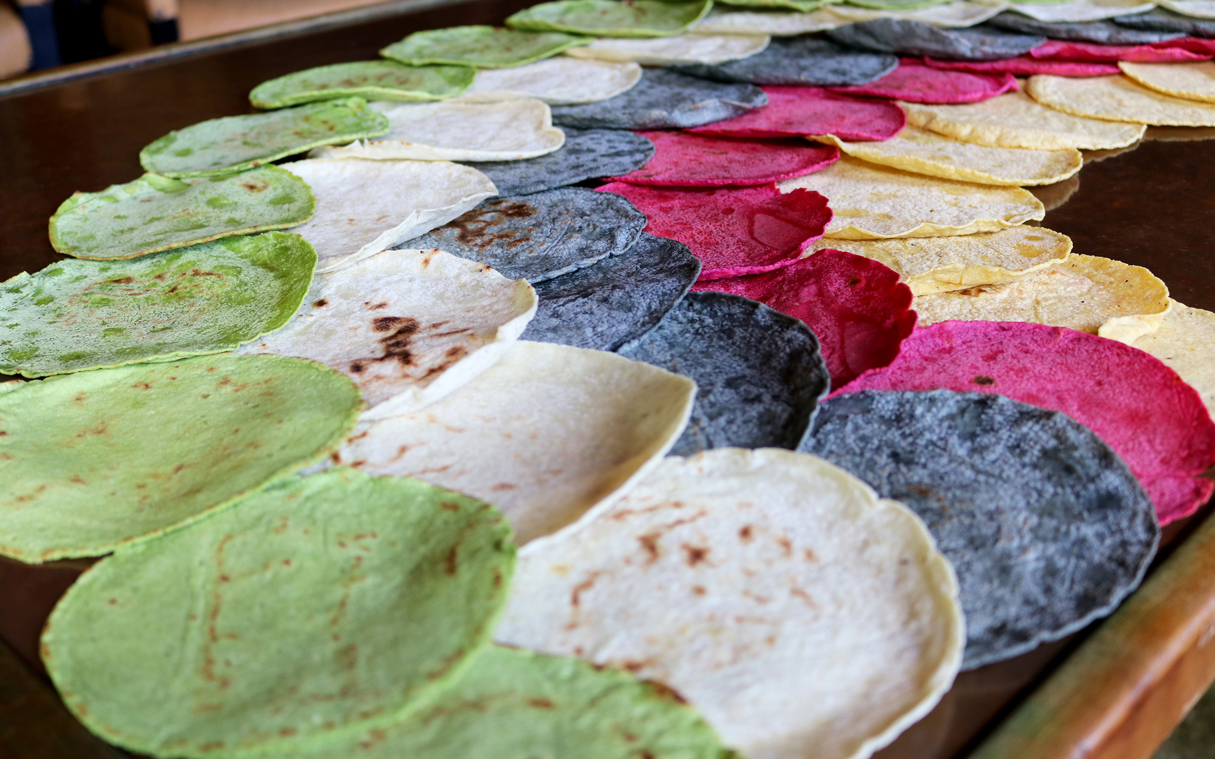 Meet the Masa Masters of Texas