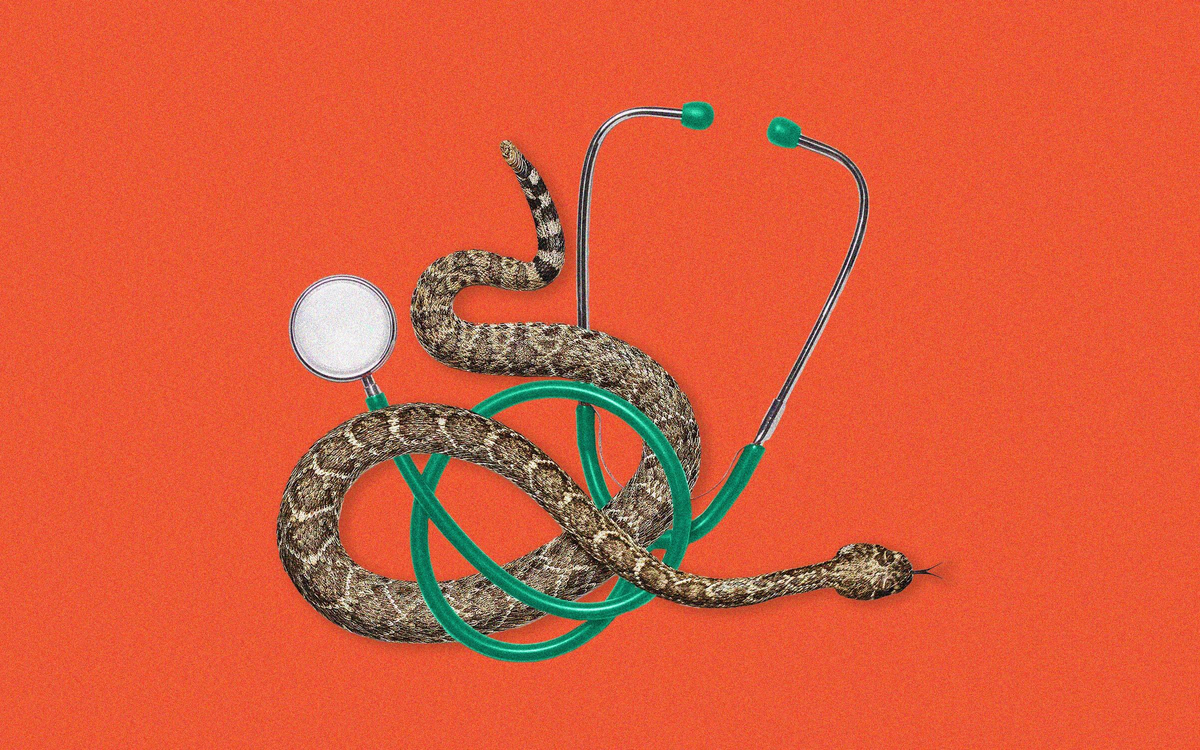 Why a Houston-Area Emergency Room Has a “Snake Bucket” – Texas Monthly