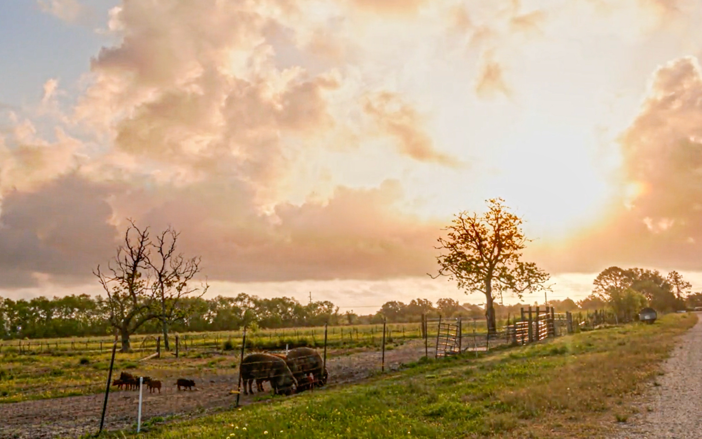 Amelia Farm & Market: How a Commercial Kitchen Saved the Farm