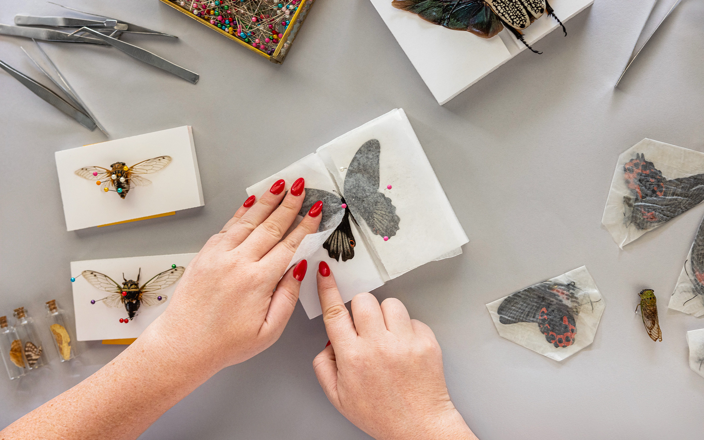A North Texas Couple Turns Creepy-crawlies Into Works of Art