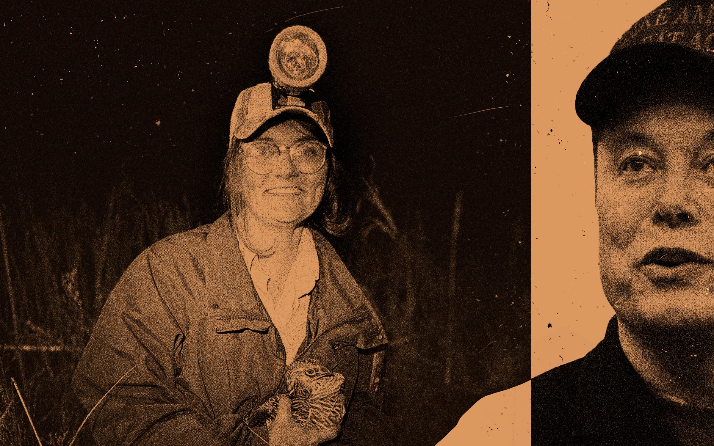 Meet the Carrion-Craving Falcon That’s Taking Over Texas – Texas Monthly