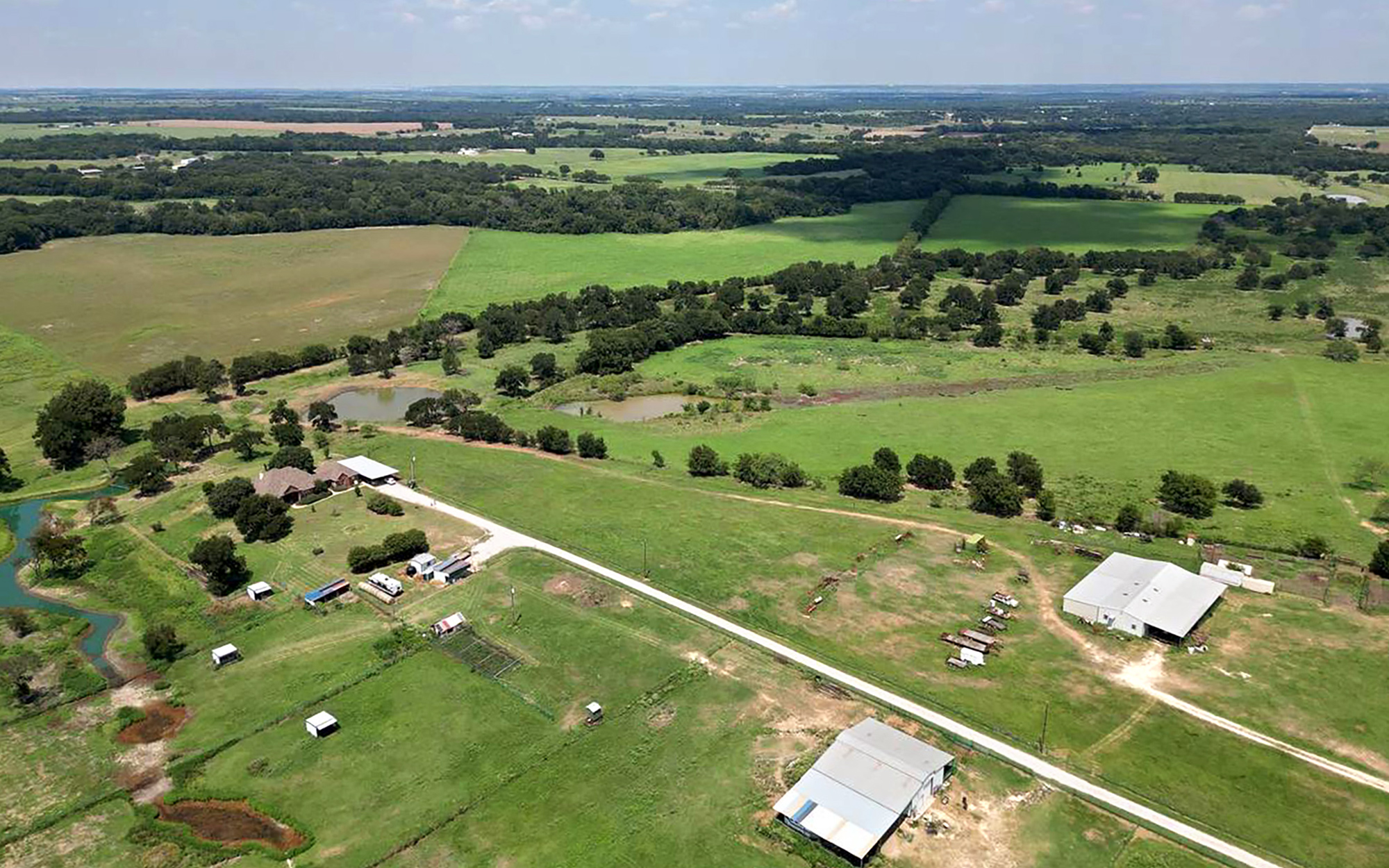 After Cows Kept Dying on a Texas Farm, Lawmakers Are Taking Notice